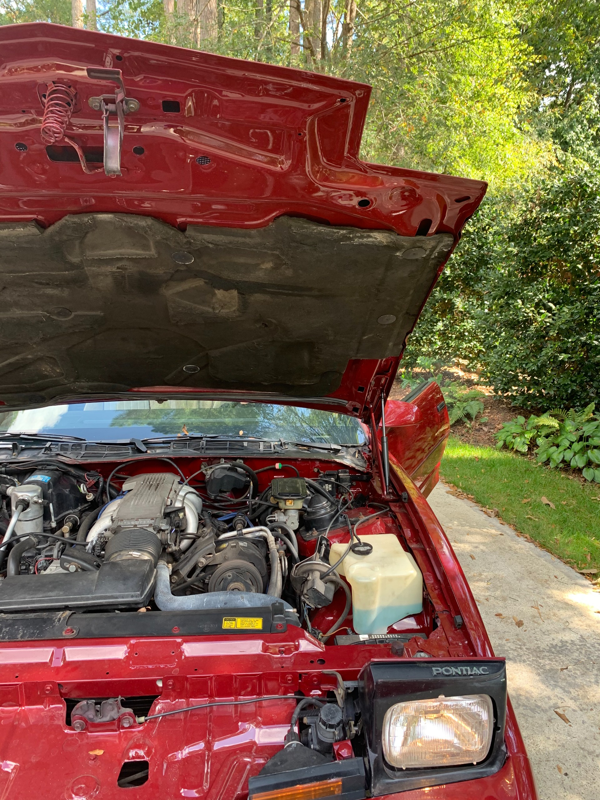 Used 1985 Pontiac Firebird Trans Am For Sale ($13,500) | Classic Lady ...