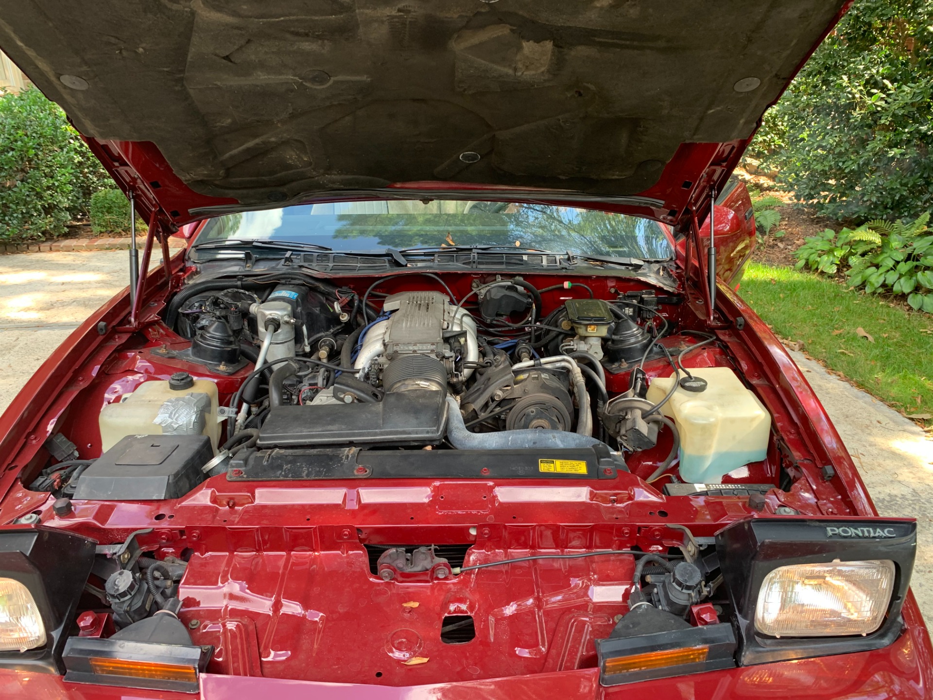 Used 1985 Pontiac Firebird Trans Am For Sale ($13,500) | Classic Lady ...