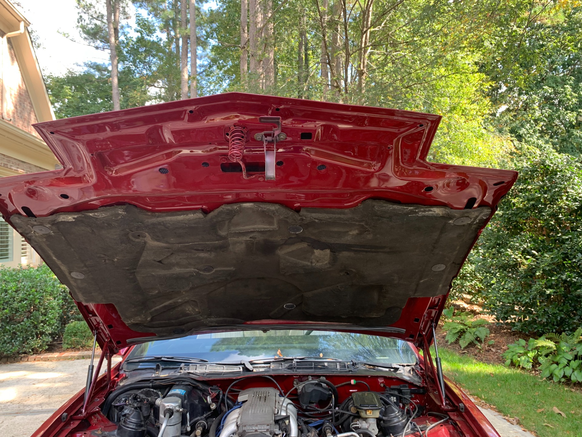 Used 1985 Pontiac Firebird Trans Am For Sale ($13,500) | Classic Lady ...