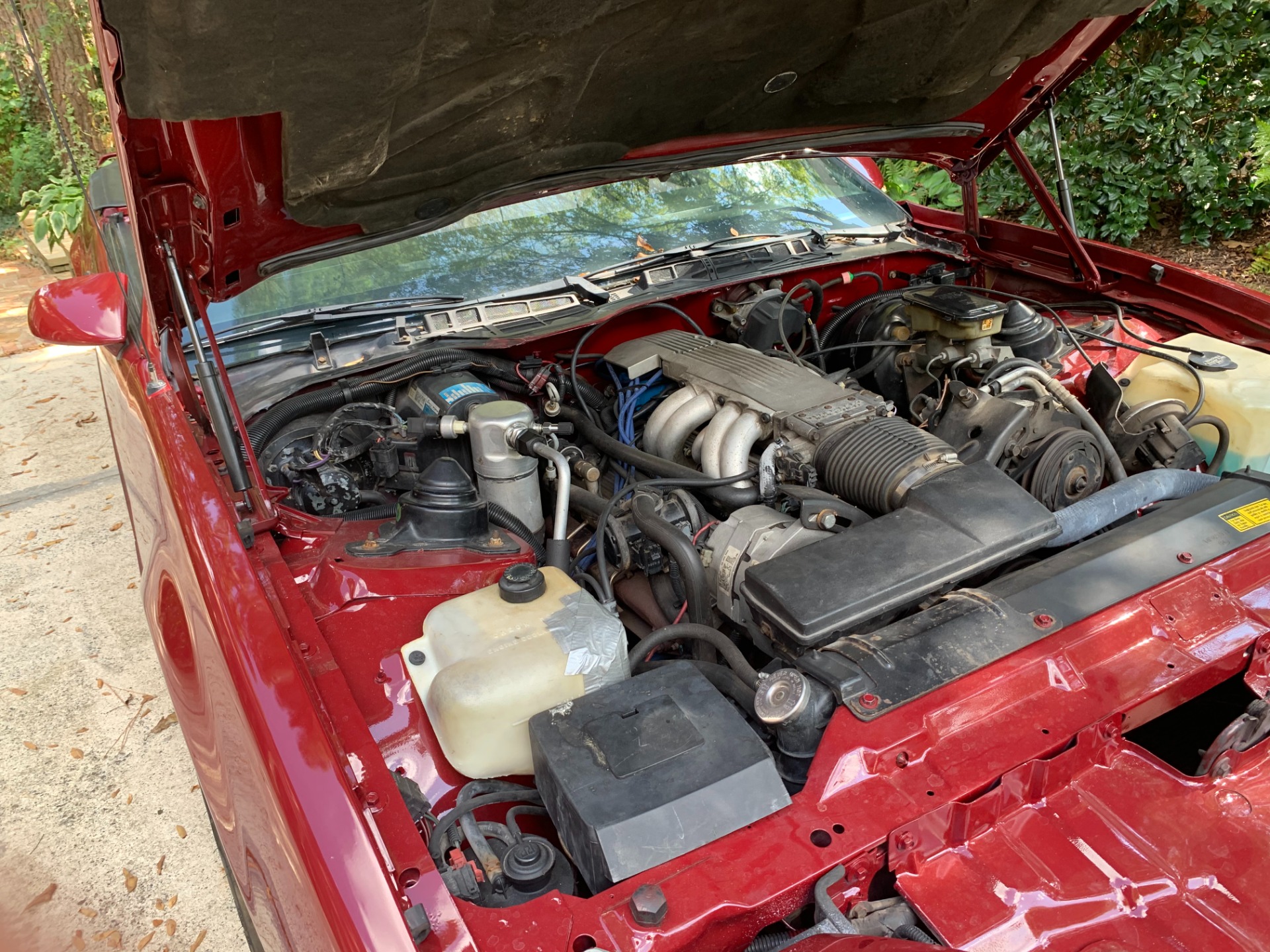 Used 1985 Pontiac Firebird Trans Am For Sale ($13,500) | Classic Lady ...