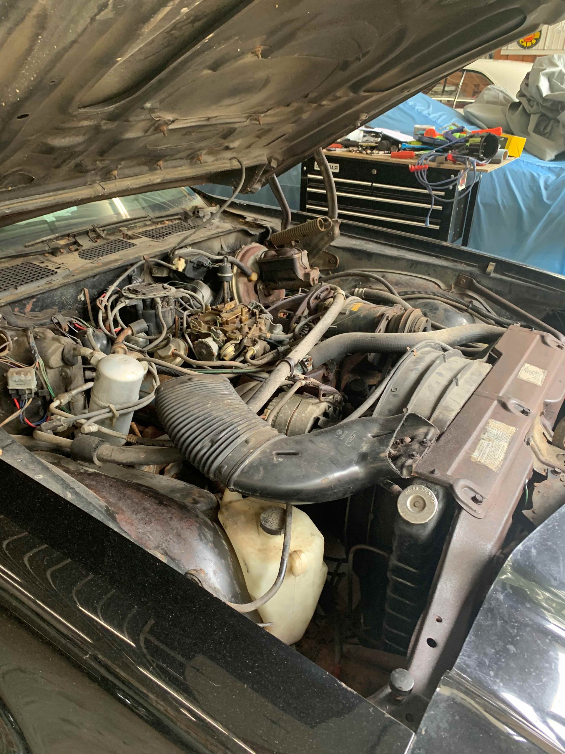 Used 1979 Chevrolet Camaro Z28 For Sale ($15,000) | Classic Lady Motors ...