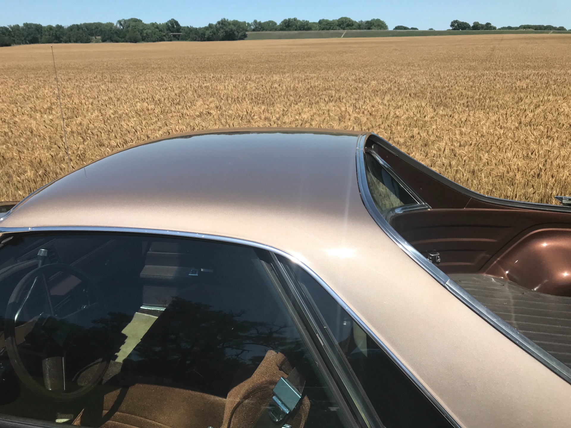 Used 1984 Chevrolet El Camino Conquista For Sale ($17,500) | Classic ...