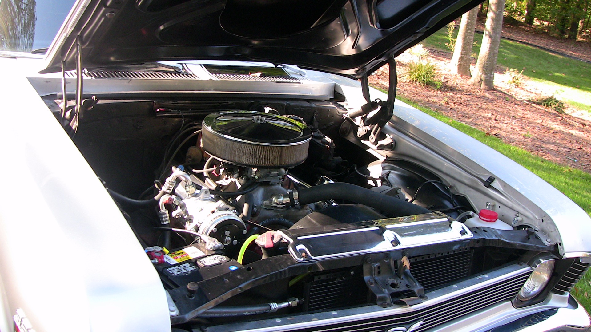 Used 1971 Chevrolet Nova For Sale ($39,200) | Classic Lady Motors Stock ...